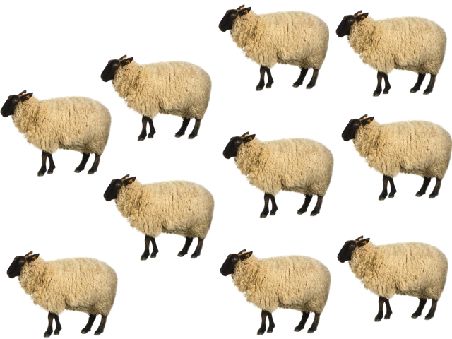 Know Your Numbers: Count the Sheep (0-10) - worksheet from - Times ...