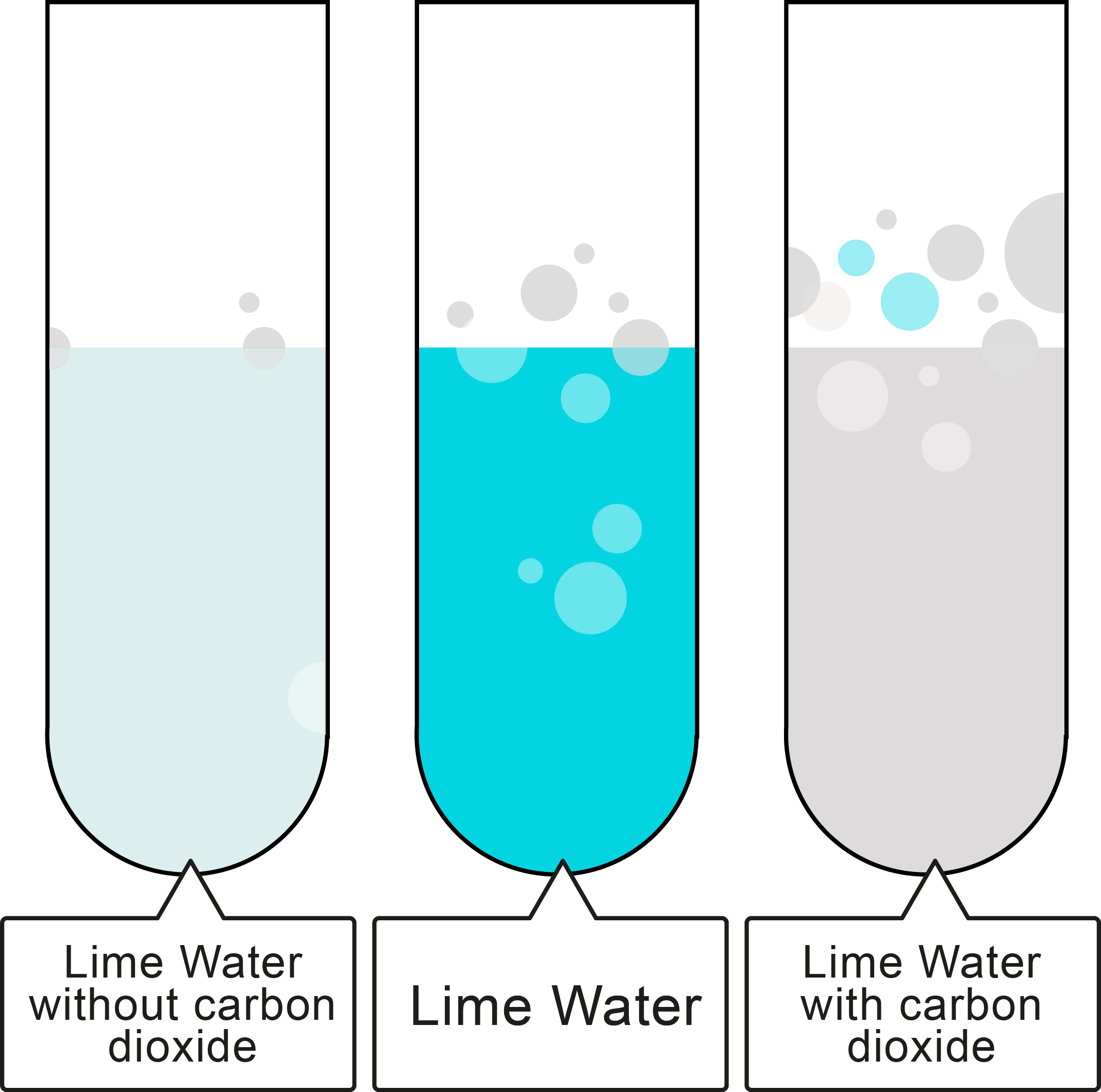 Investigate the Reactions of Acids with Metal Carbonates Worksheet ...