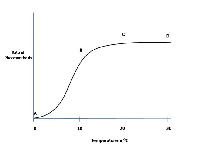 Interpret the Limiting Factors of Photosynthesis Worksheet - EdPlace