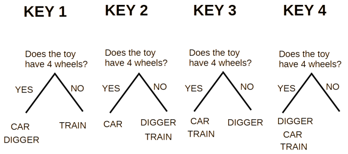 Learn how identification keys word – Exam-Corner