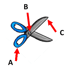 Simple Machines in Action Worksheet - EdPlace