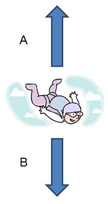 Showing Forces 1 Worksheet - EdPlace