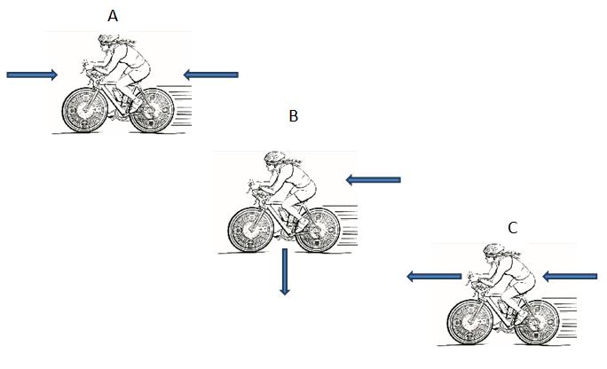 Showing Forces 2 Worksheet - EdPlace