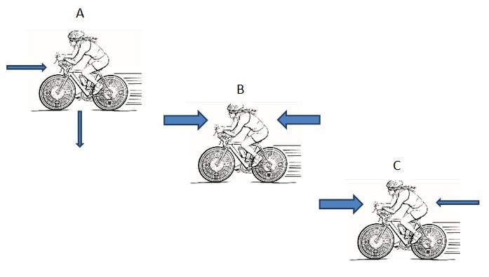 Showing Forces 2 Worksheet - EdPlace