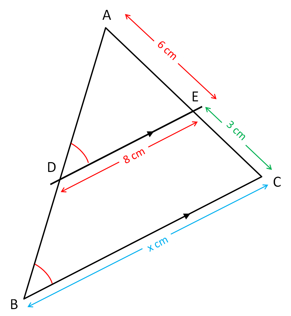 Similar Triangles and Parallel Lines - worksheet from EdPlace