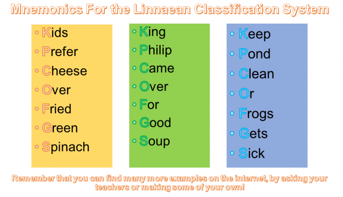 Understand the Classification of Living Things Worksheet - EdPlace
