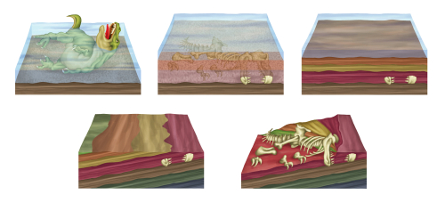 Know how Fossils are Formed Worksheet - EdPlace