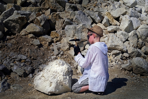 Know how Fossils are Formed Worksheet - EdPlace