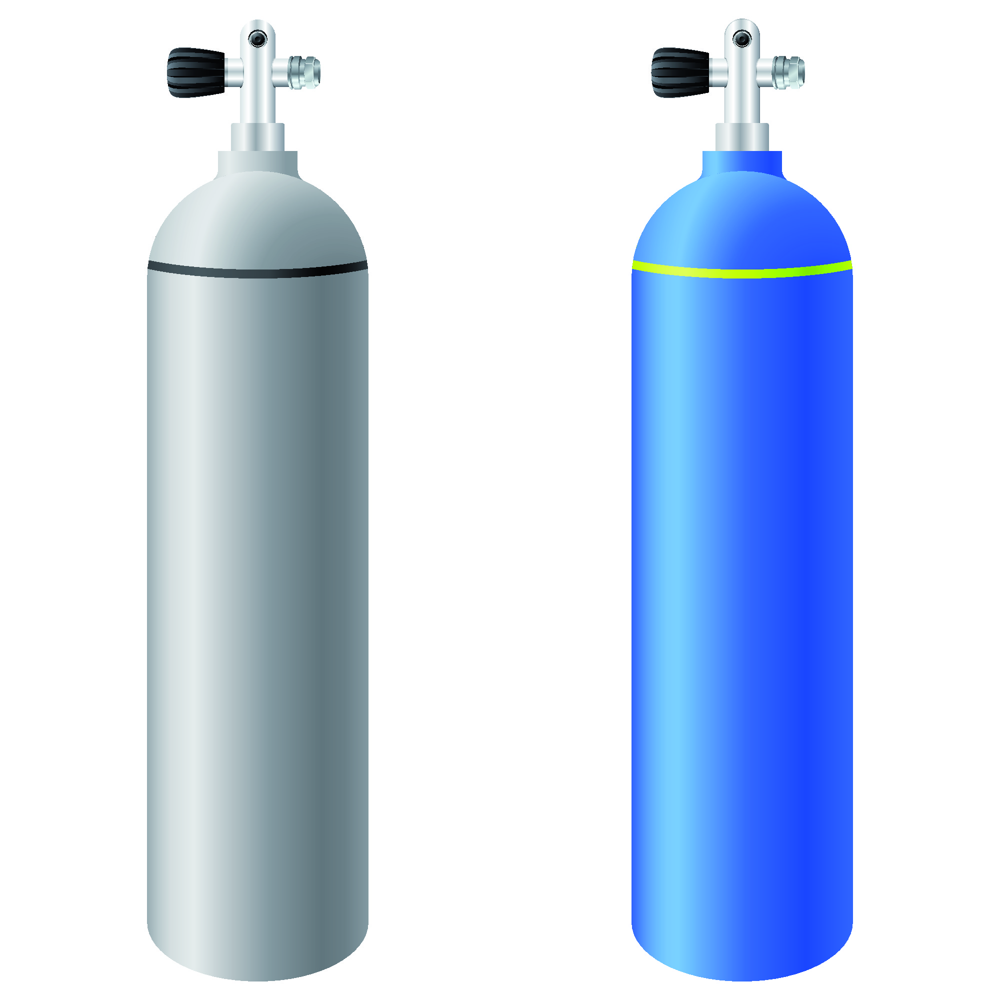 Investigate the Gases Around Us – Exam-Corner