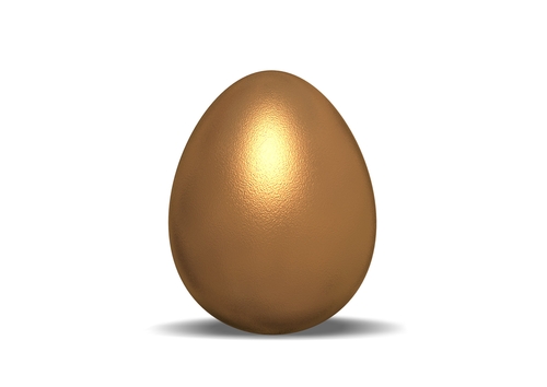 Read and Understand: ‘The Goose That Laid the Golden Eggs’ – Exam-Corner
